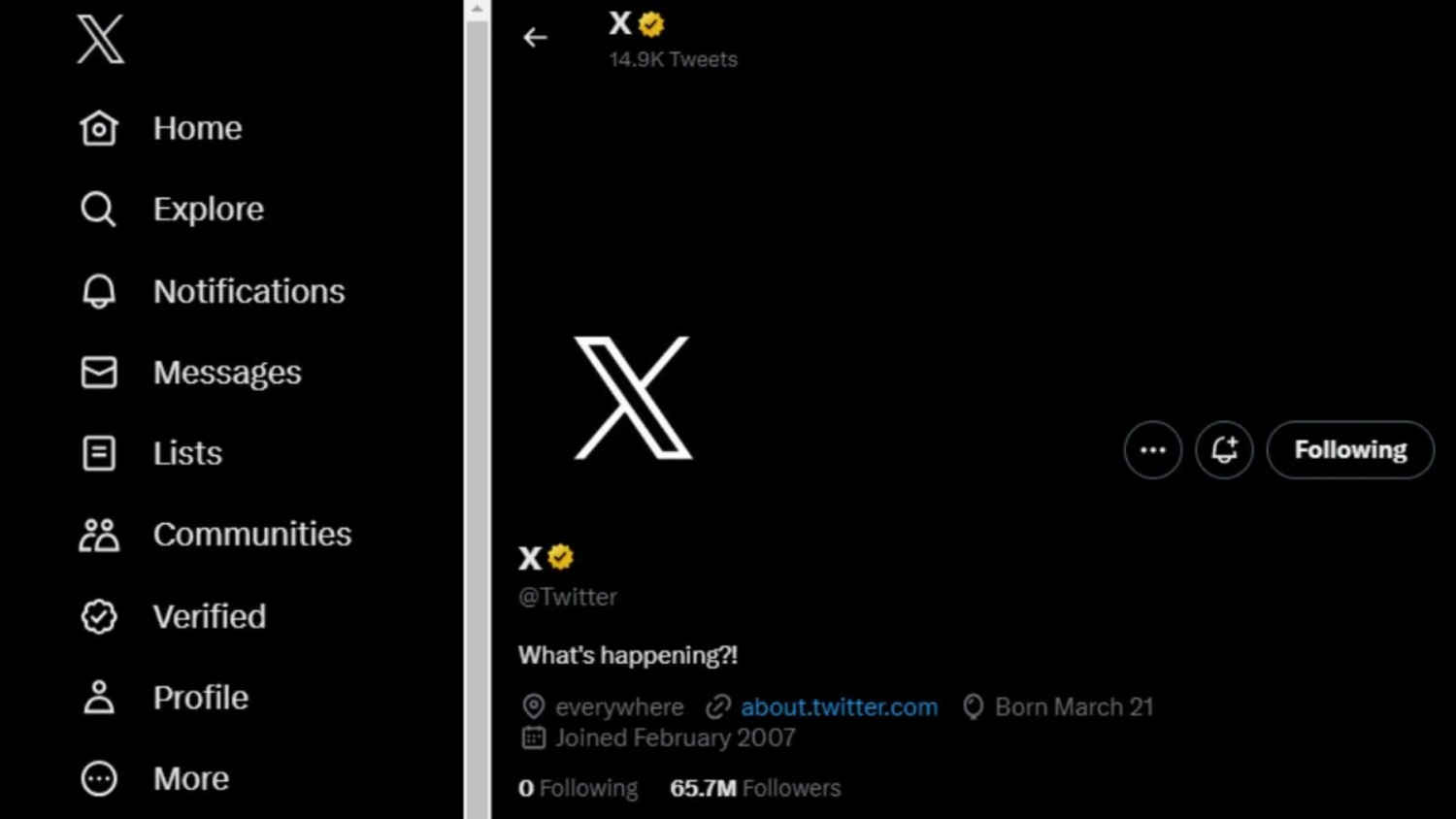 X-TikTok mashup: Future of social media under Musk?
