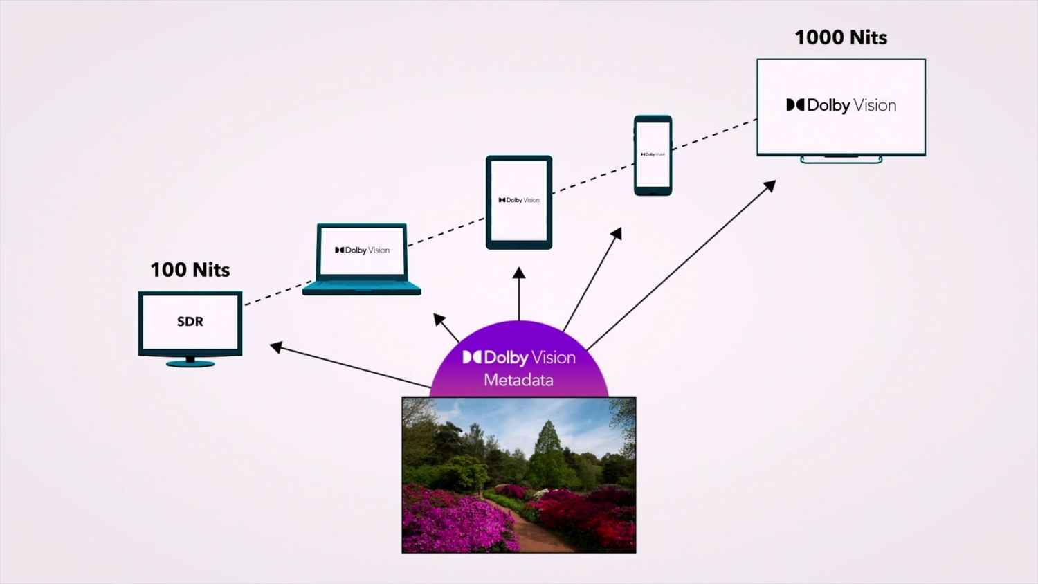 Dolby Vision vs Dolby Vision IQ vs HDR10: Here’s everything that you ...