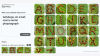 GenType, Google Labs' new AI tool powered by Imagen 2: Here's what it ...