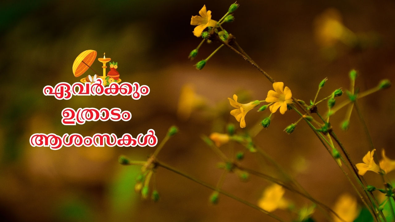 Kerala celebrates Uthradam, the first Onam day | News Minimalist