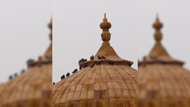 iQOO 12 camera samples revealed: Take a look at these images from the ...