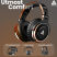 Audio Array AH-50 Monitoring Wired Headphones Price in India, Full ...