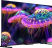Philips Lumina Series 50 inch Ultra HD 4K Smart QLED TV (50PQT8100/94 ...