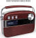 Saregama Carvaan Telugu 10W Bluetooth Speaker Price in India, Full ...