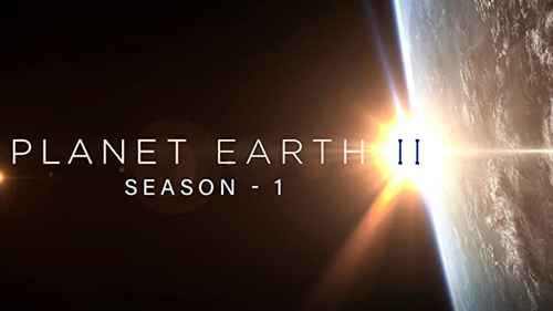 Watch Planet Earth II Web Series Online, All Seasons and Episodes ...