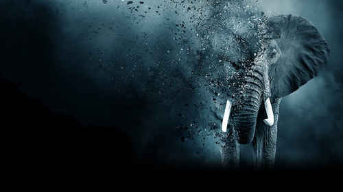 The Ivory Game Movie (2016) | Release Date, Cast, Trailer, Songs ...