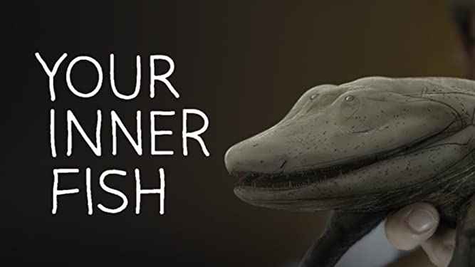 Watch Your Inner Fish Online, All Seasons or Episodes, | Show/Web Series