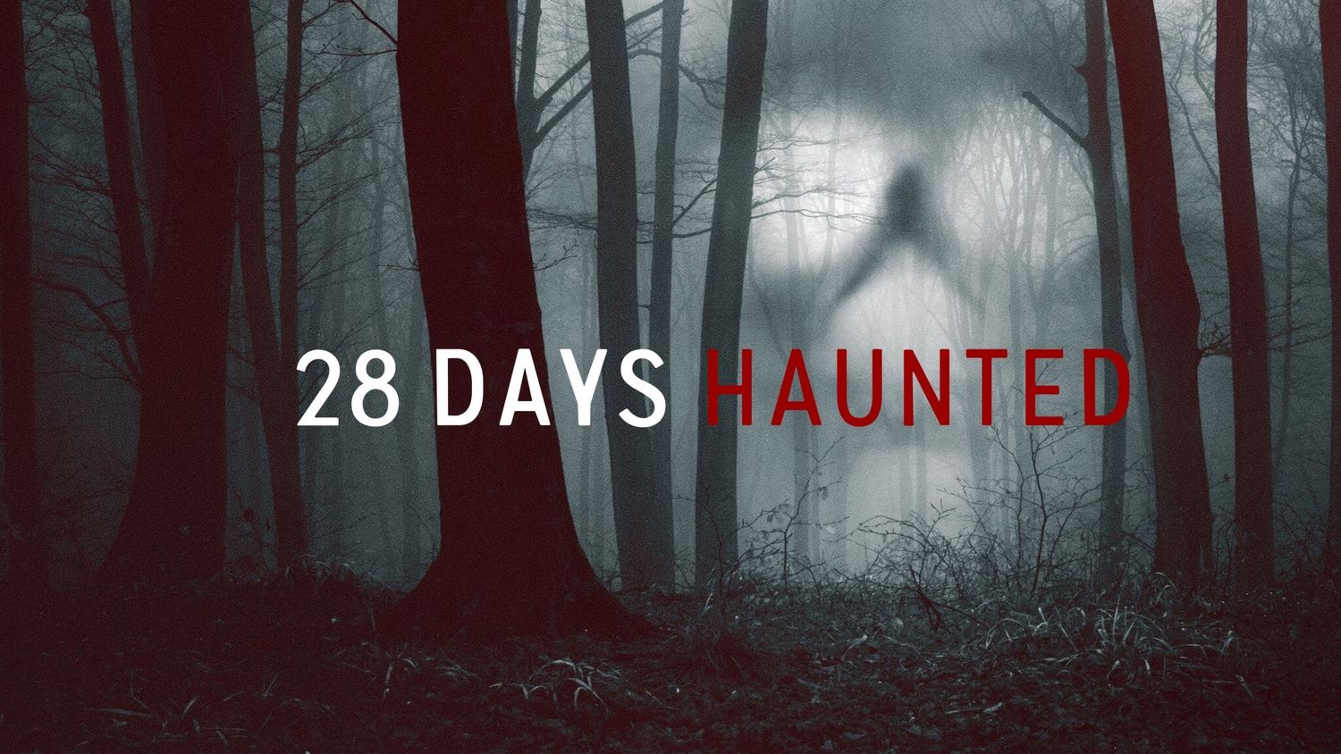 Watch 28 Days Haunted Online, All Seasons or Episodes, Horror | Show ...
