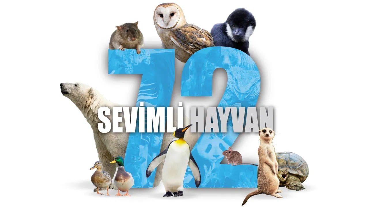 Watch 72 Cutest Animals Online, All Seasons or Episodes, Other | Show ...