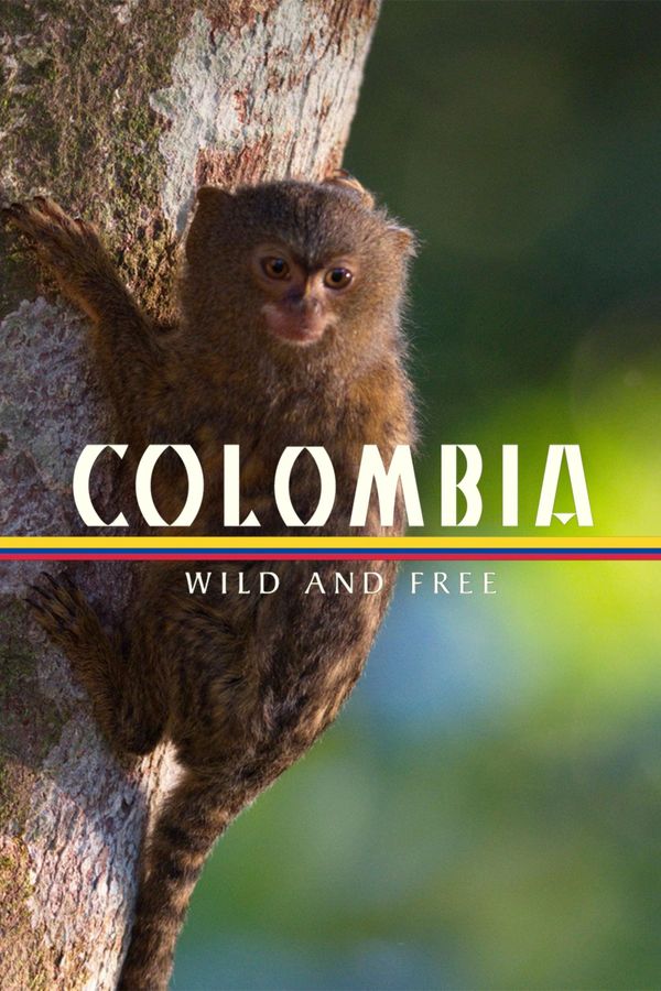 Watch Colombia -- Wild and Free Online, All Seasons or Episodes ...