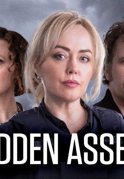 Watch Hidden Assets Online, All Seasons or Episodes, Drama | Show/Web ...