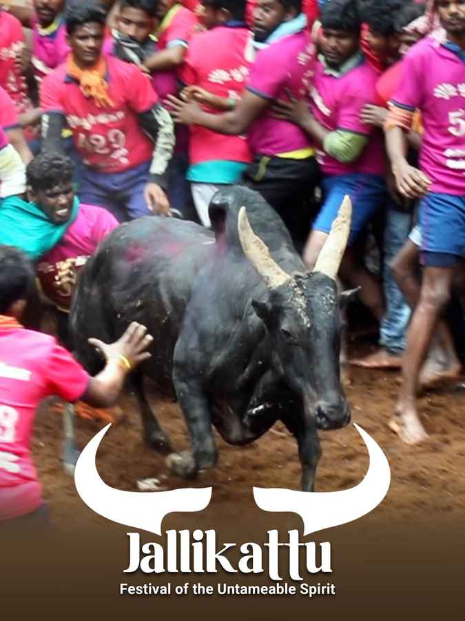 Jallikattu - Festival of the Untameable Spirit Movie (2021) | Release ...