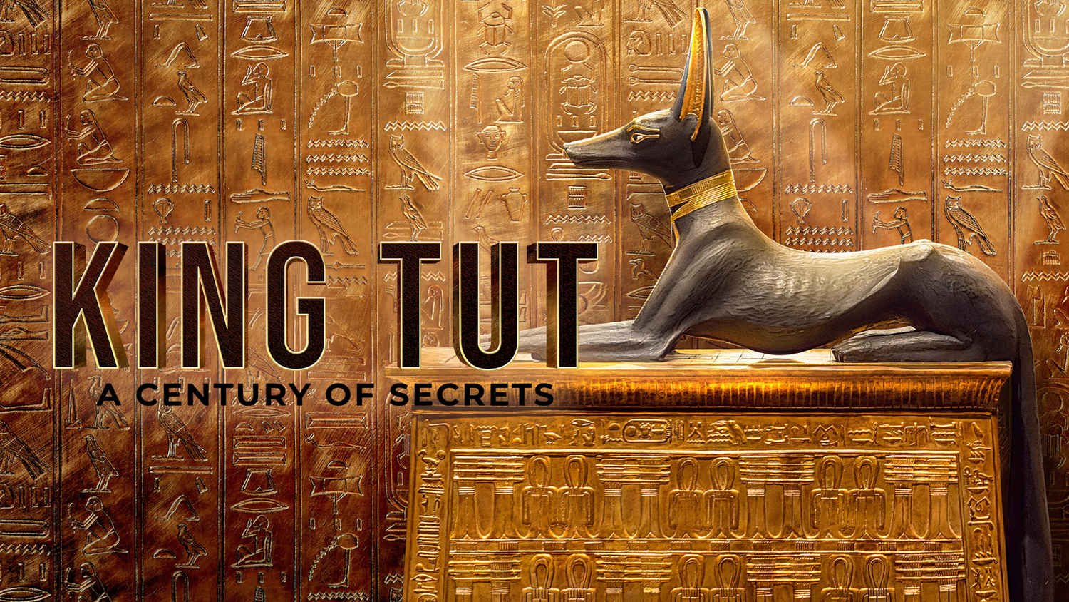 Watch King Tut: A Century of Secrets Online, All Seasons or Episodes ...