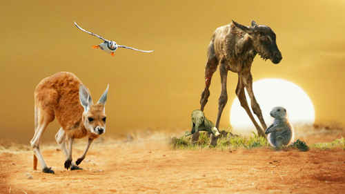 Watch Life: First Steps Web Series Online, All Seasons and Episodes ...