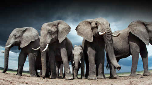 Watch Life Story Web Series Online, All Seasons and Episodes | Hindi ...