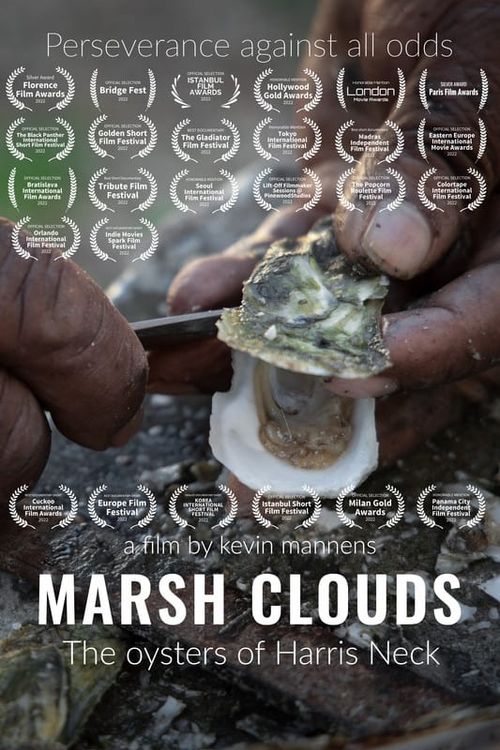 Marsh Clouds: The Oysters of Harris Neck Movie (2022) | Release Date ...