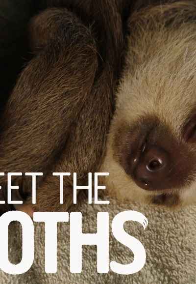 Watch Meet The Sloths Online, All Seasons or Episodes, Documentary ...