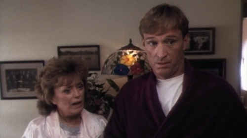 Mother of the Bride Movie (1993) | Release Date, Cast, Trailer, Songs ...