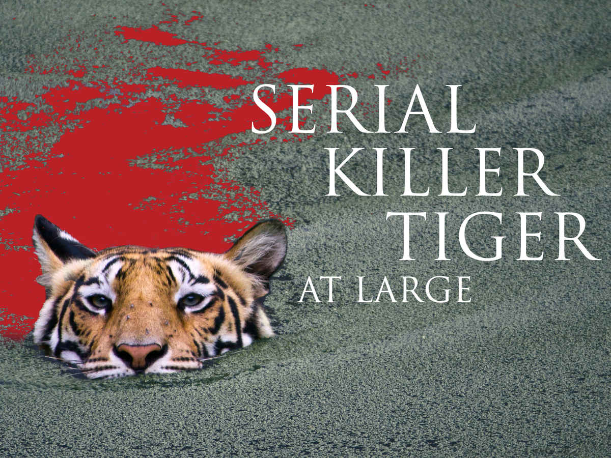 Watch Serial Killer Tiger At Large Online, All Seasons or Episodes ...