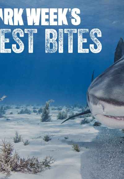 Watch Shark Week's 50 Best Bites Online, All Seasons or Episodes ...