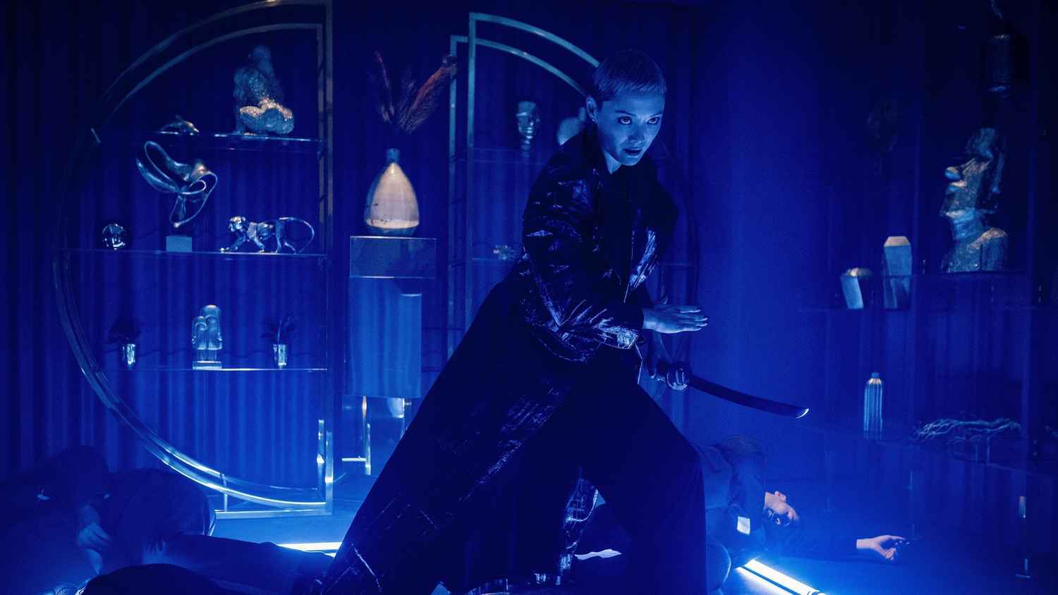 James J Zito Iii Best Movies and Shows List from 2024 to 2024