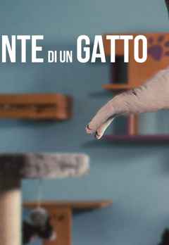 Watch Inside the Mind of a Cat Movie Online, Release Date, Trailer ...