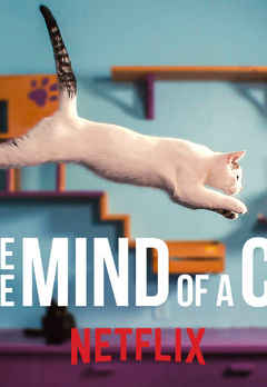 Inside the Mind of a Cat Movie (2022) | Release Date, Cast, Trailer ...