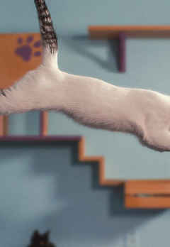 Inside the Mind of a Cat Movie (2022) | Release Date, Cast, Trailer ...