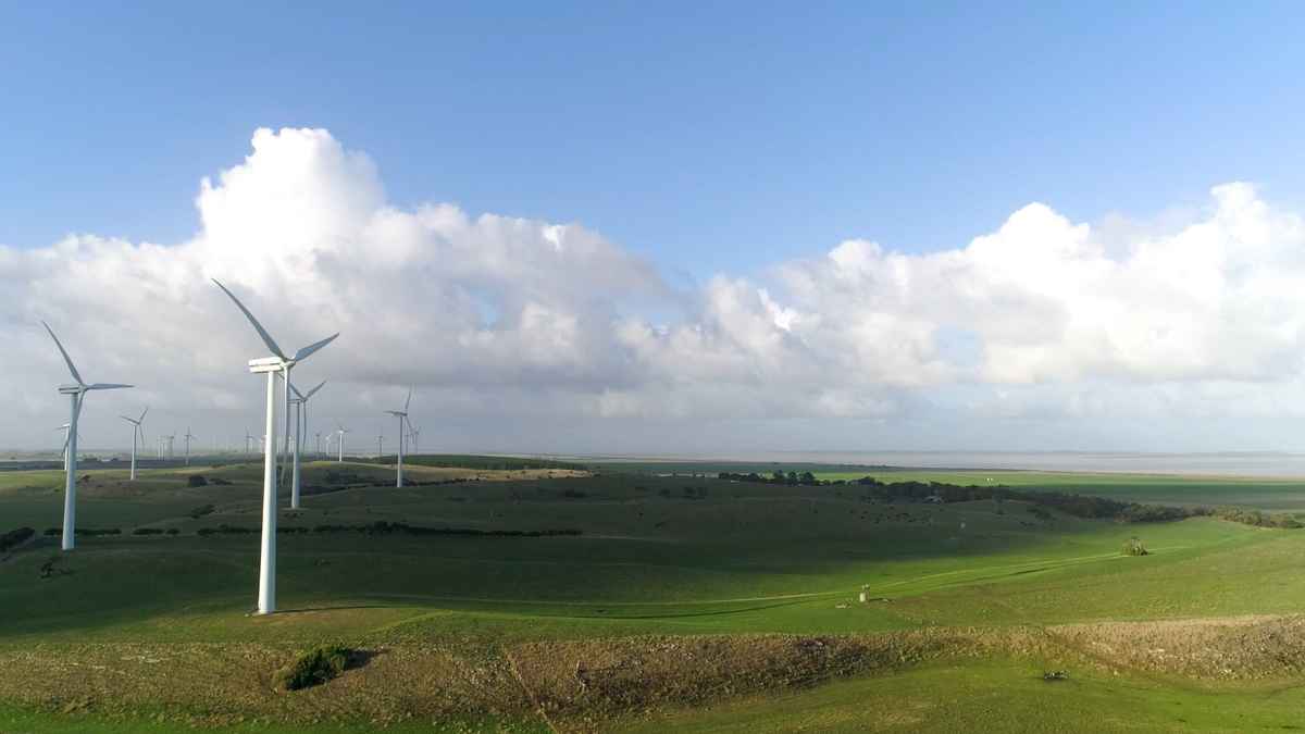 Earth From Above 1 Movie (2019) | Release Date, Cast, Trailer, Songs ...