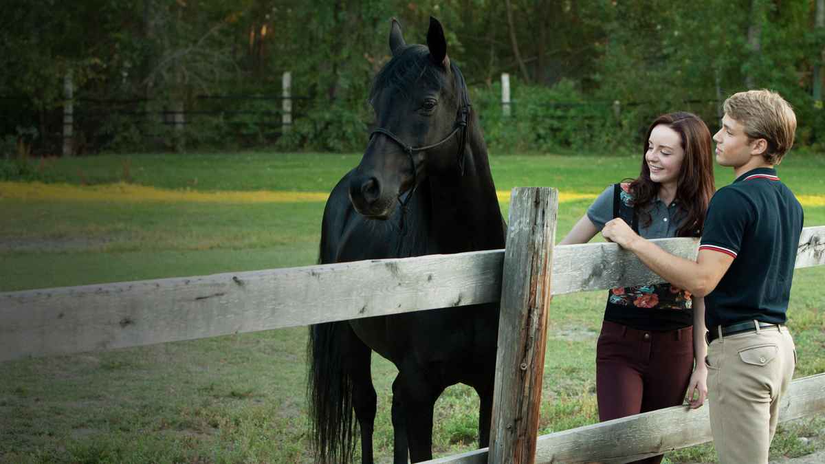 Flicka: Country Pride Movie (2012) | Release Date, Cast, Trailer, Songs ...