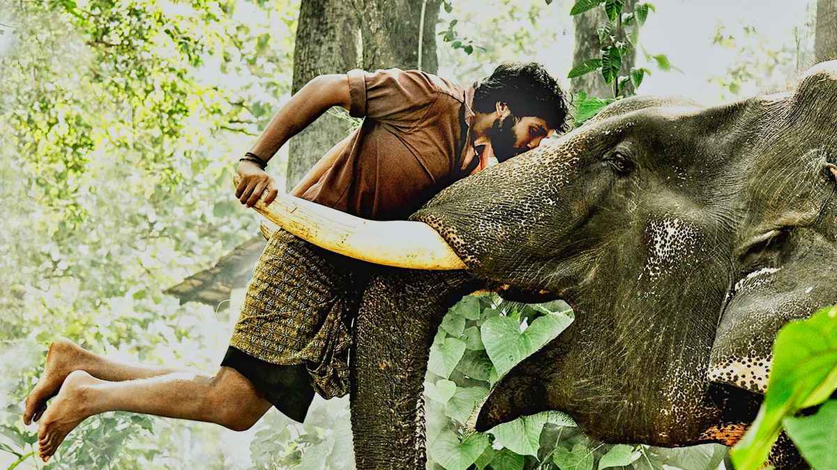 Watch Kumki Movie Online, Release Date, Trailer, Cast and Songs ...