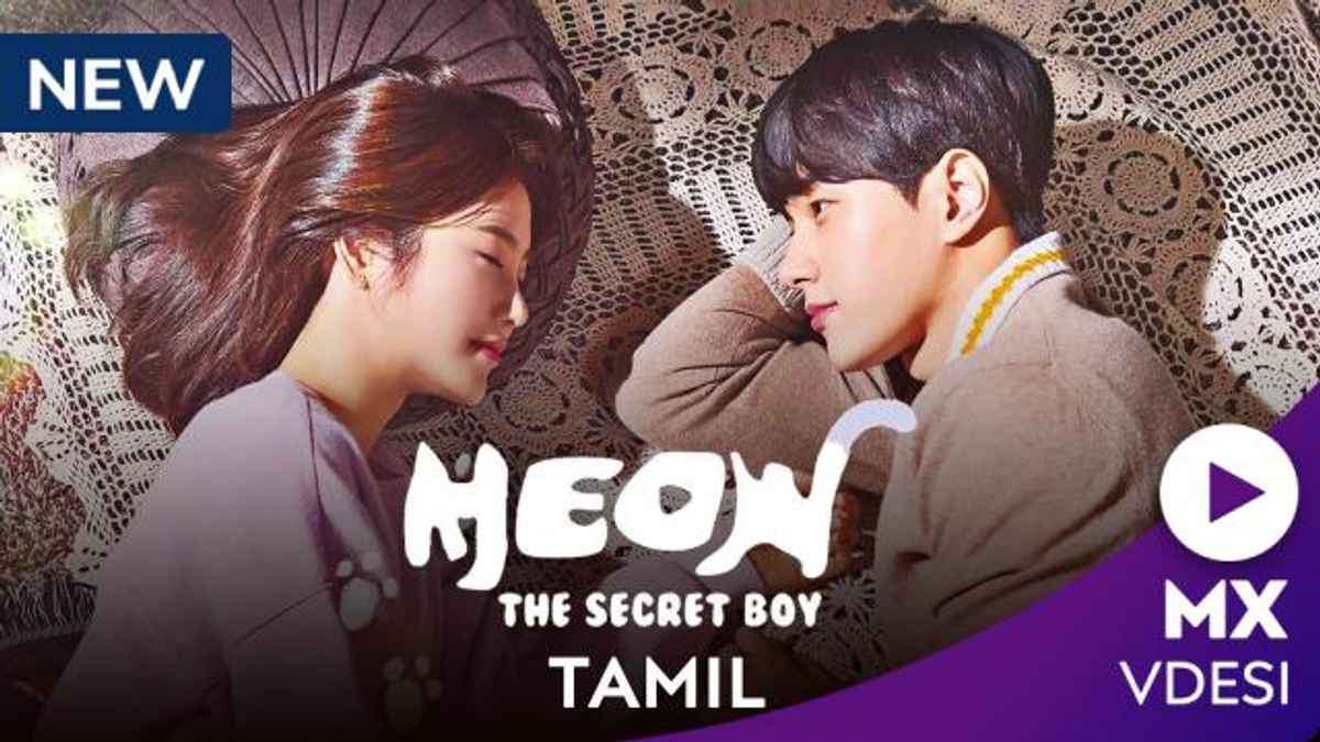 Watch Meow, The Secret Boy Online, All Seasons or Episodes, Comedy ...