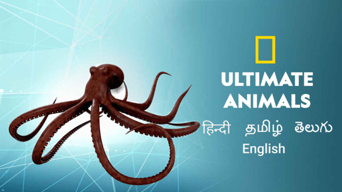 Watch Ultimate Animals Online, All Seasons or Episodes, Other | Show ...