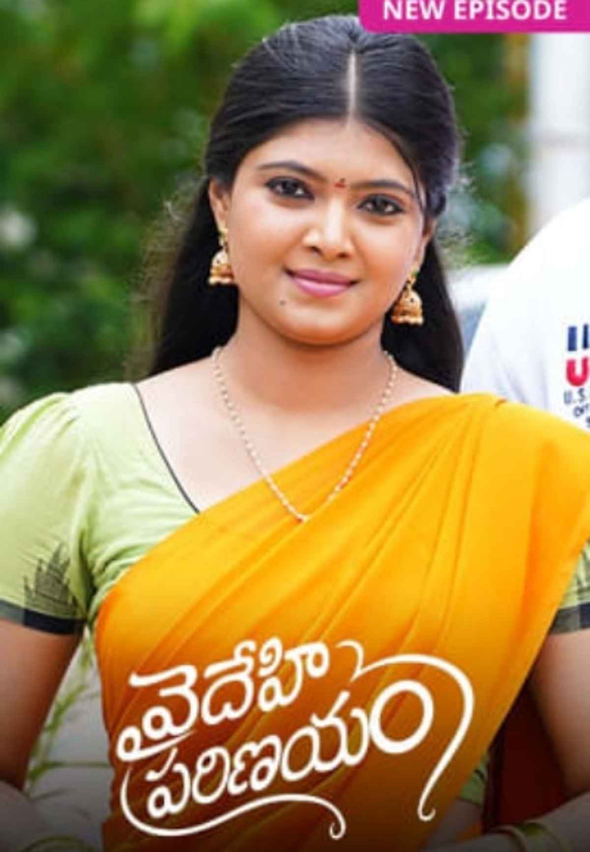 Watch Vaidehi Parinayam Online, All Seasons or Episodes, Drama | Show ...