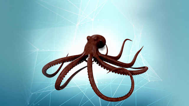 Watch Ultimate Animals Online, All Seasons or Episodes, Other | Show ...