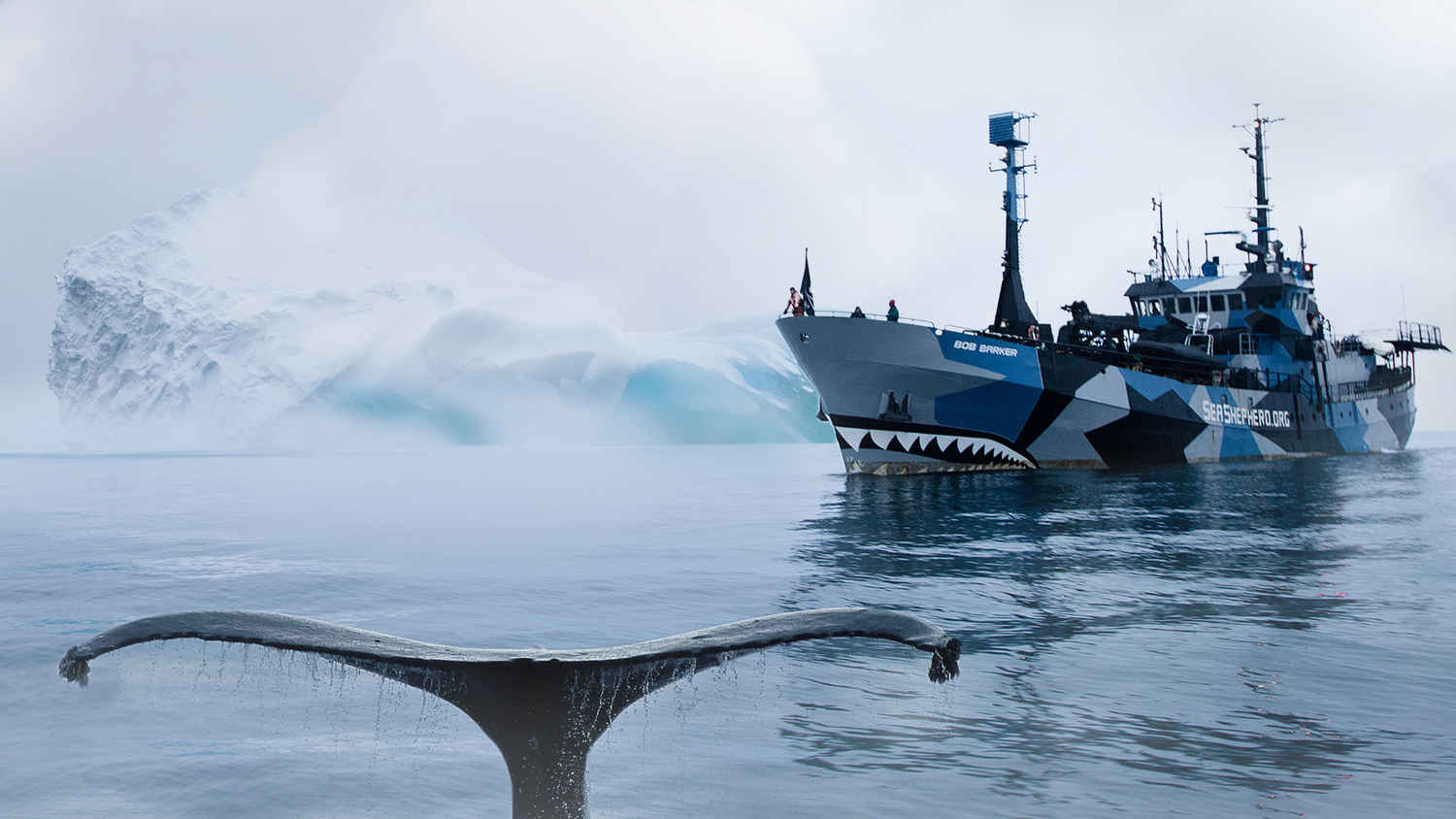 Watch Whale Wars Online, All Seasons or Episodes, Other | Show/Web Series