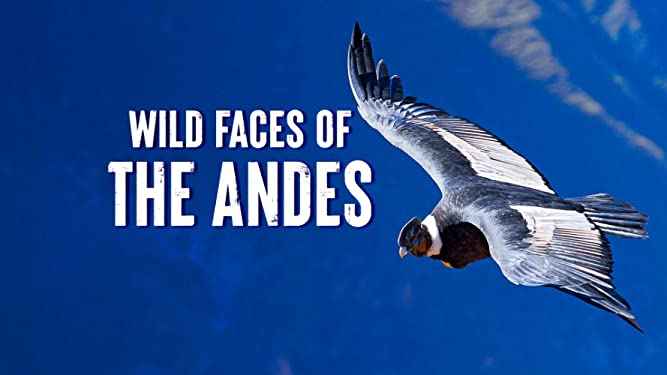 Wild Faces of the Andes Movie (2020) | Release Date, Cast, Trailer ...