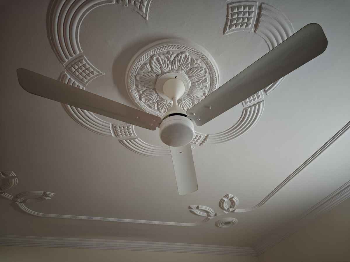 5 Things I wish I knew before buying BLDC Ceiling Fans: Advantages and ...