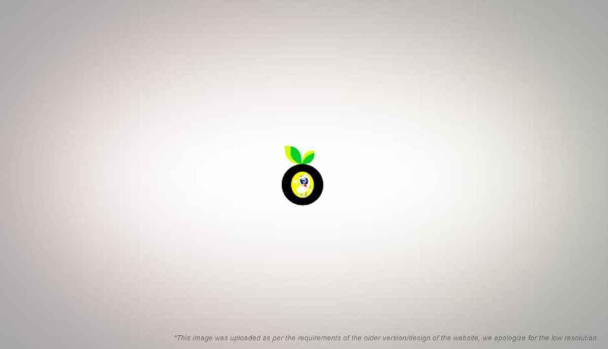 Lemon Mobiles announces an Android 1.6 phone & unveils Lemon Twist ...