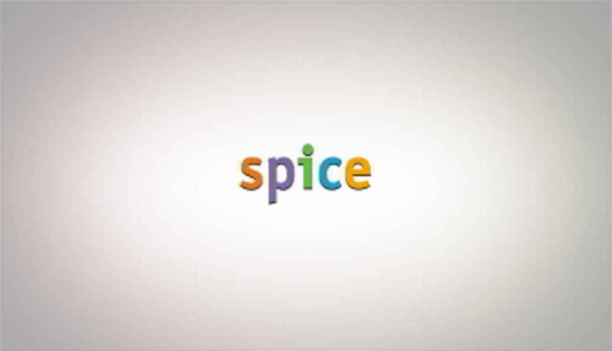 Spice launches two dual SIM QWERTY phones, QT-95 and QT-68 | Digit