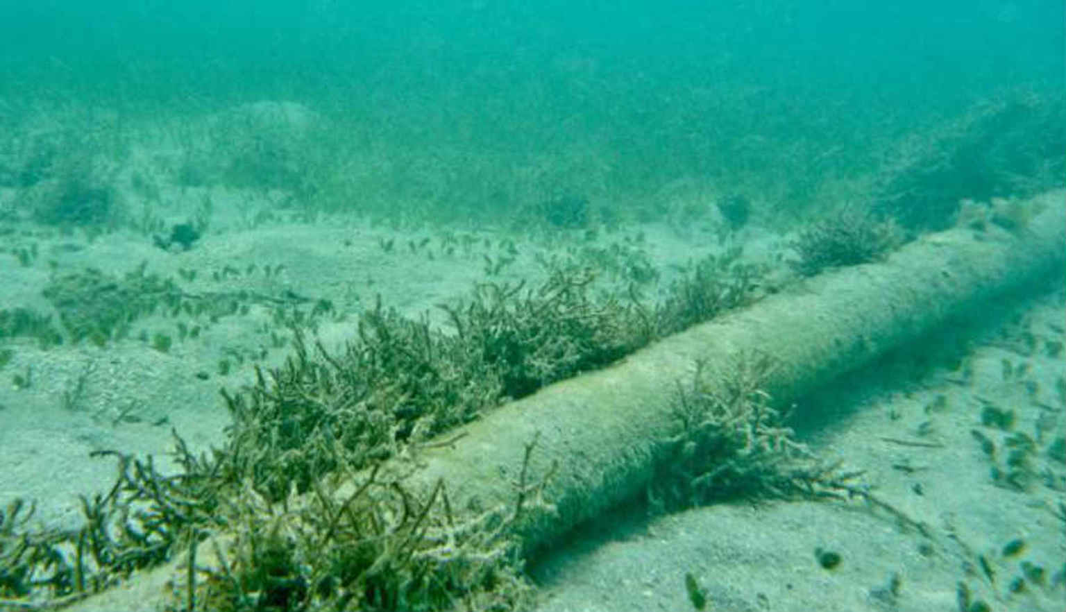 Reliance Jio launches AAE-1, world's longest 100Gbps submarine cable ...