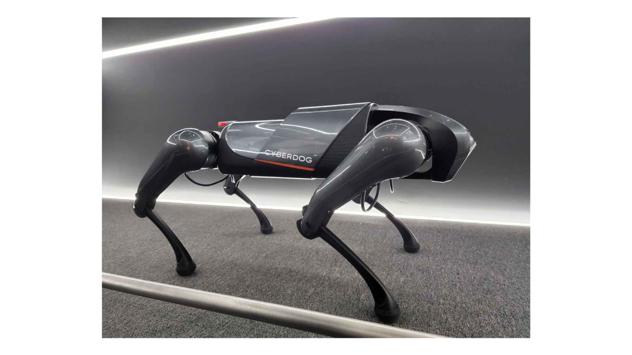 Xiaomi CyberDog Is Here And It's A Very Good Boy | Digit