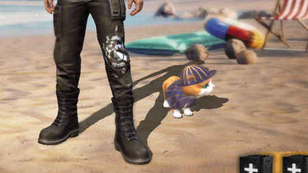 Garena Free Fire: A guide to pets | Digit