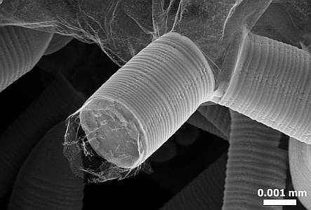 Aerographite: Scientists create the lightest material ever