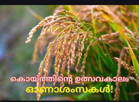 Onam 2024: നാലാം ഓണം! WhatsApp വഴി അയക്കാം, 20+ Best Chathayam Wishes ...