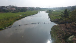 Meet AlphaMERS: India’s river cleaning tech expert